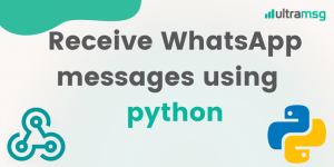 How to Receive WhatsApp messages using python and webhook