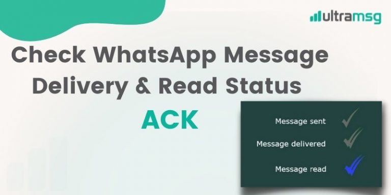 Check WhatsApp Message Delivery & Read Status | ACK