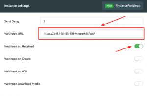 Receive WhatsApp messages using C# and webhook